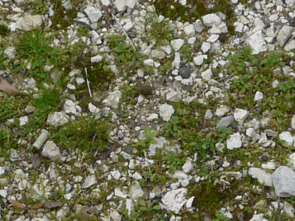 stone ground texture 0070 - Texturelib